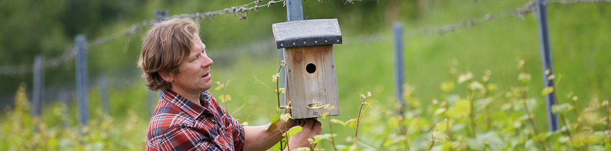 La cantina Michael Andres | Bodeboca